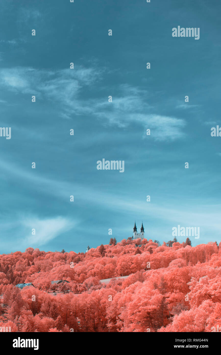 Majestic drone view of wonderful infrared forest and distant medieval ...