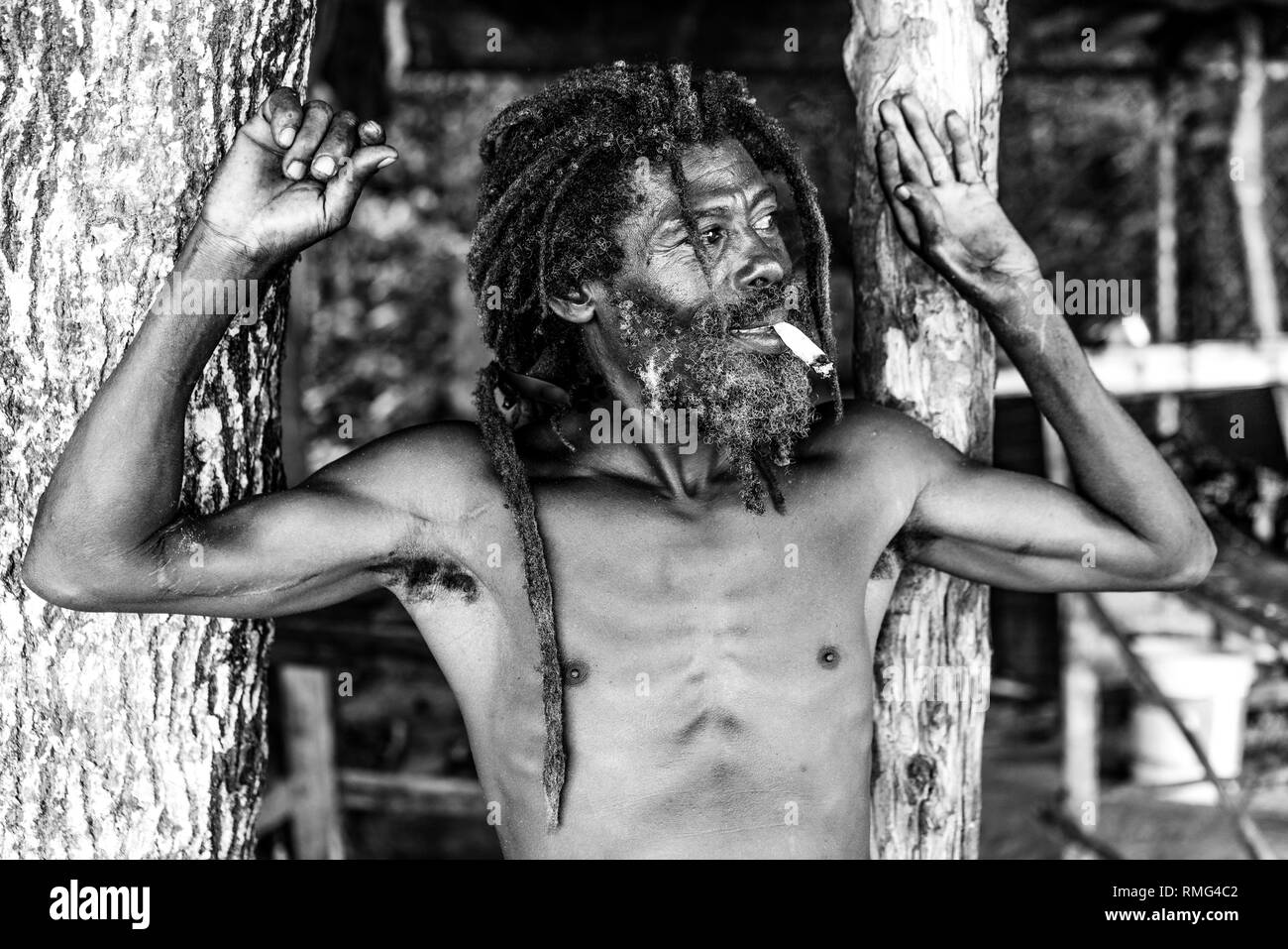 African American Bearded Male With Dreadlocks And Upped Hands Smoking