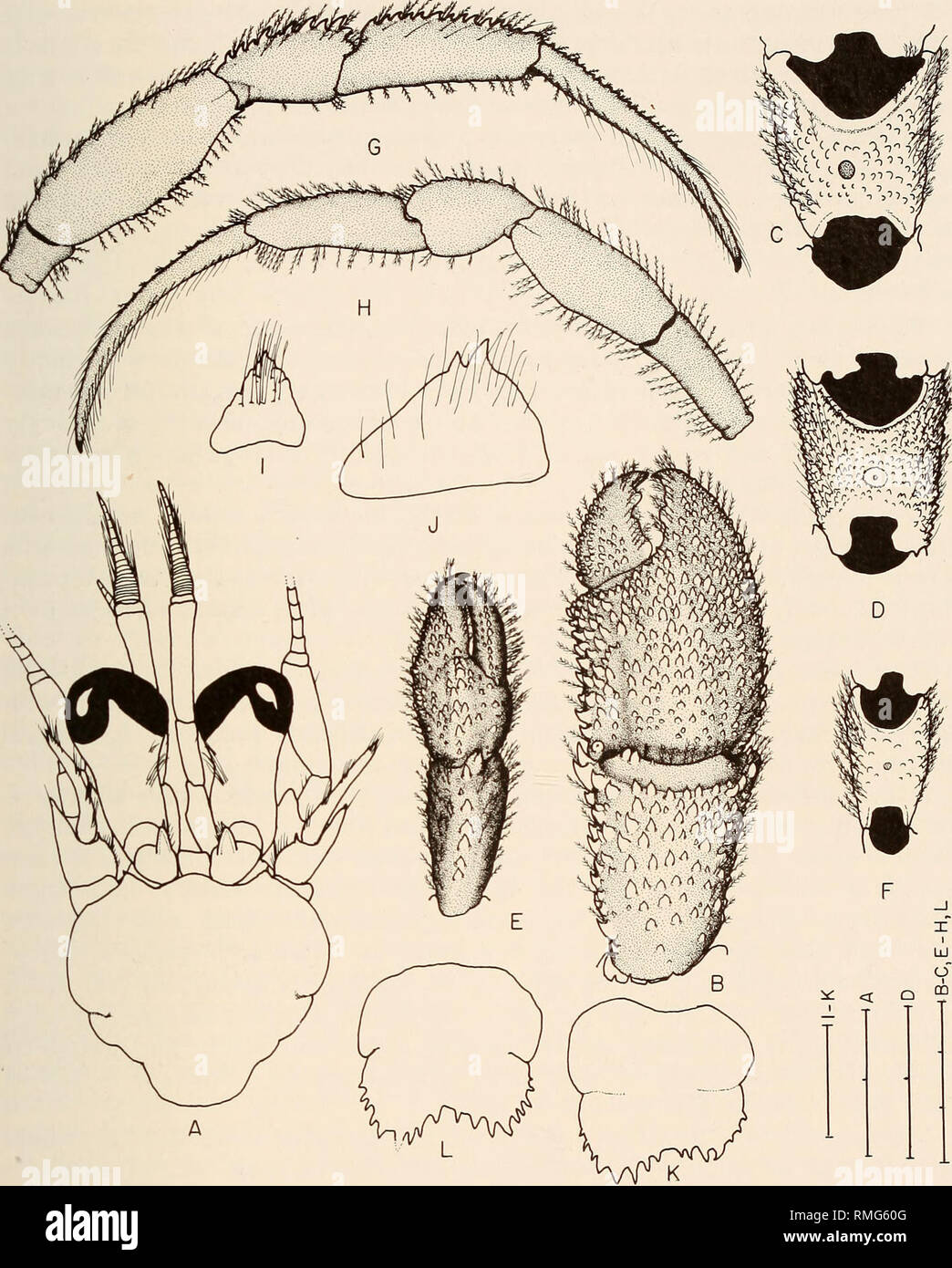 . Annals of the South African Museum = Annale van die Suid-Afrikaanse ...