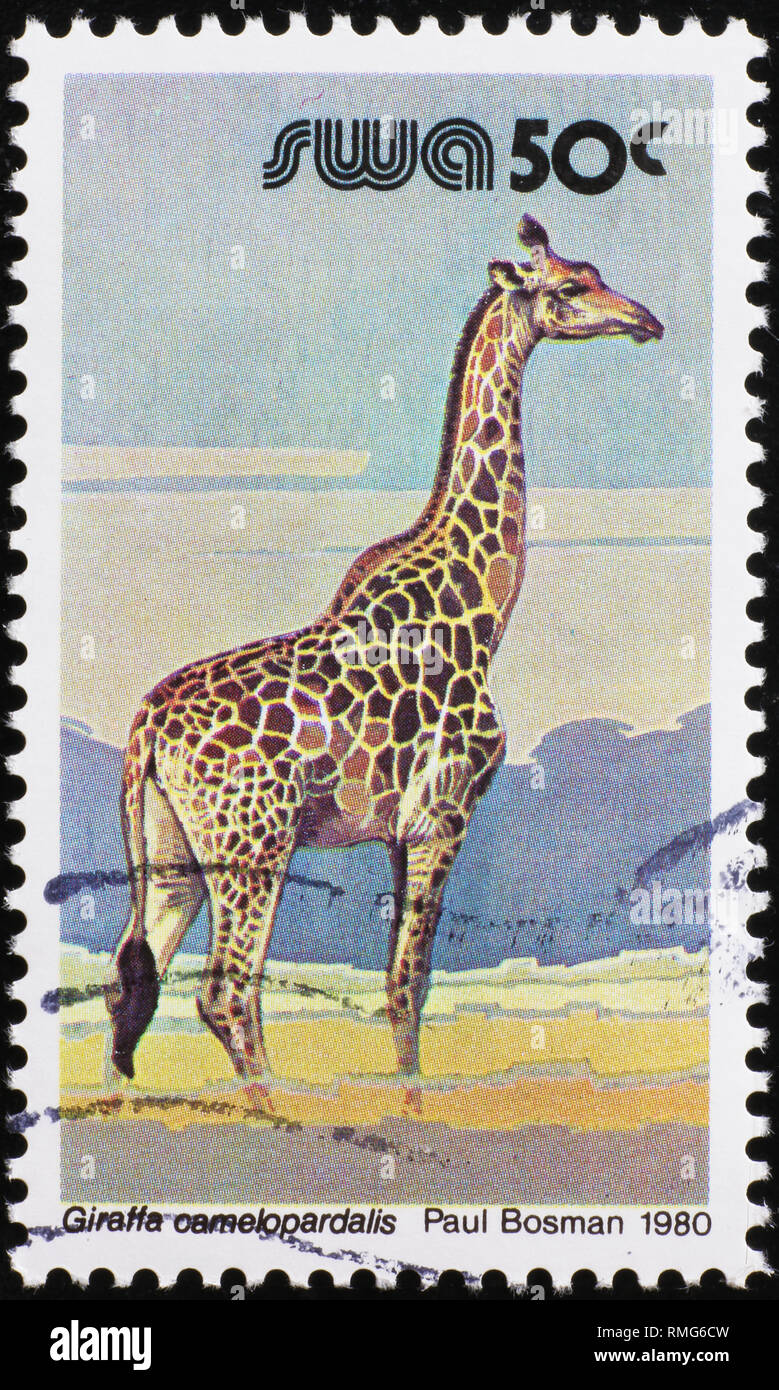 Beautiful giraffe on south african postage stamp Stock Photo - Alamy
