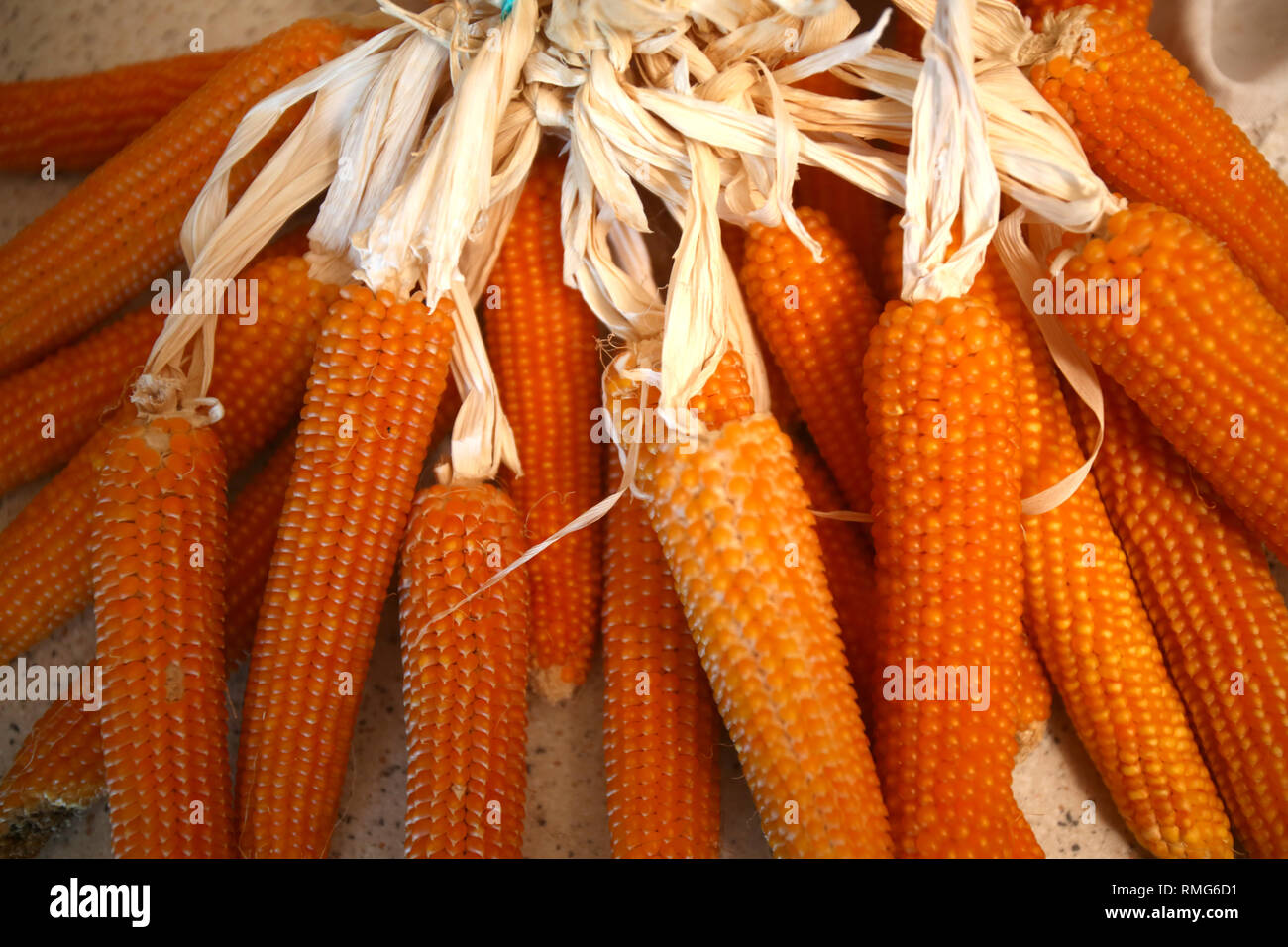 organic corn cobs together Stock Photo - Alamy