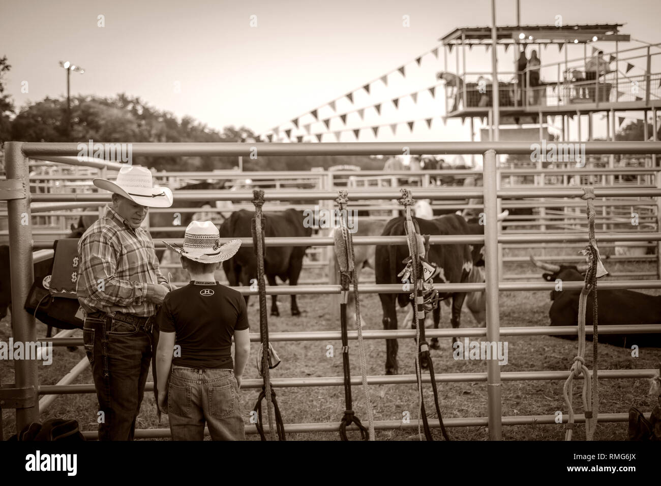 Old rodeo cowboys hi-res stock photography and images - Alamy
