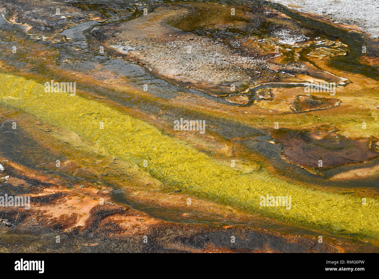 Yellowstone Texture Brown and Yellow Stock Photo - Alamy
