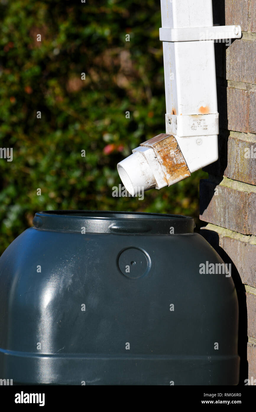 water butt being fed by plastic down pipe Stock Photo - Alamy