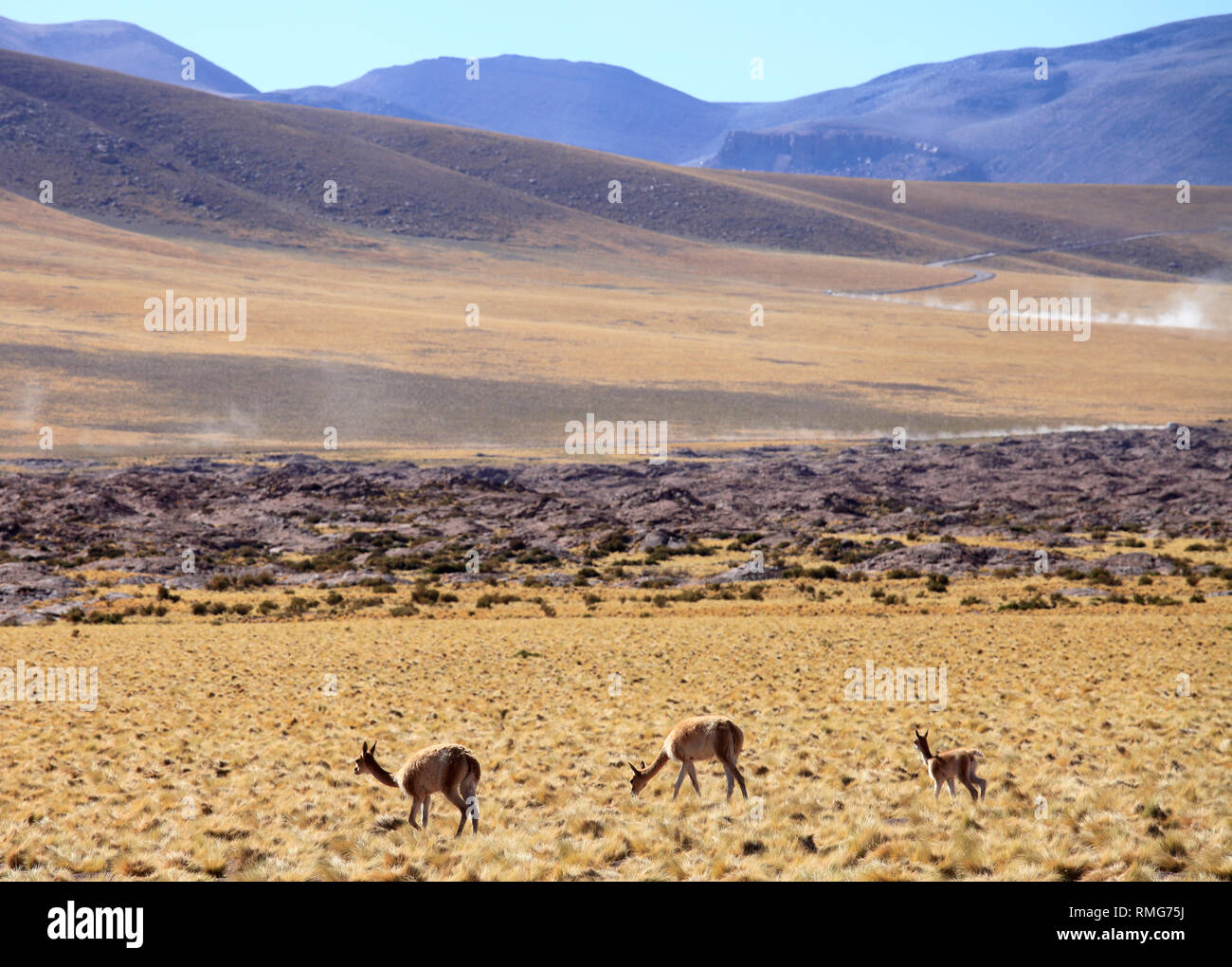 Andes mountains chile hi-res stock photography and images - Alamy