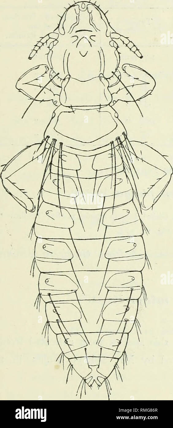 . Annotationes zoologicae japonenses / Nihon do?butsugaku iho ...