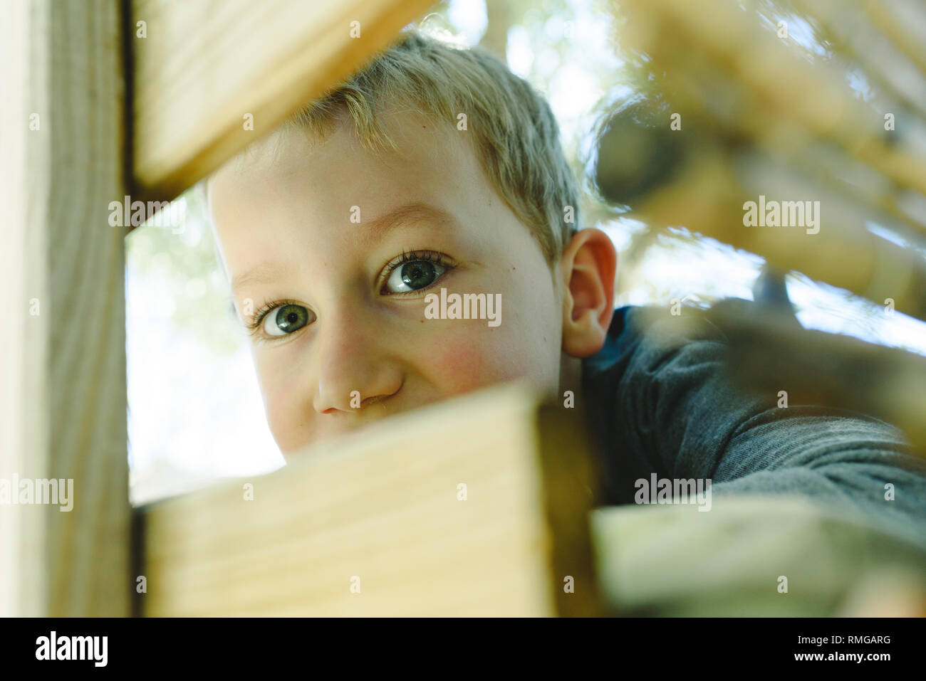 Funny face of boy looking through the boards of his wooden house ...