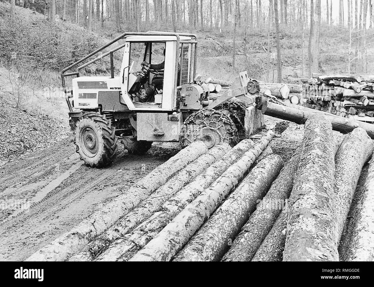 Machine during the transport of felled tree trunks Stock Photo - Alamy