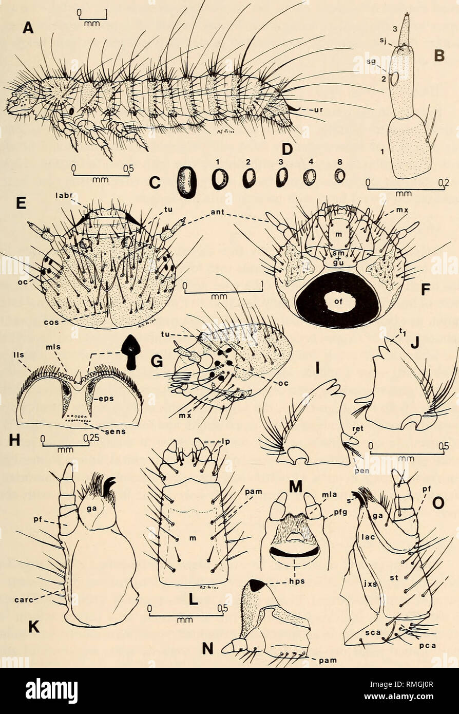 . Annals of the South African Museum = Annale van die Suid-Afrikaanse ...