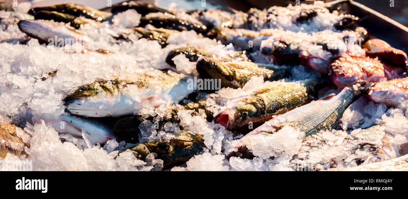 Pile of different fresh fish for sale on the fishmonger, outdoor ...