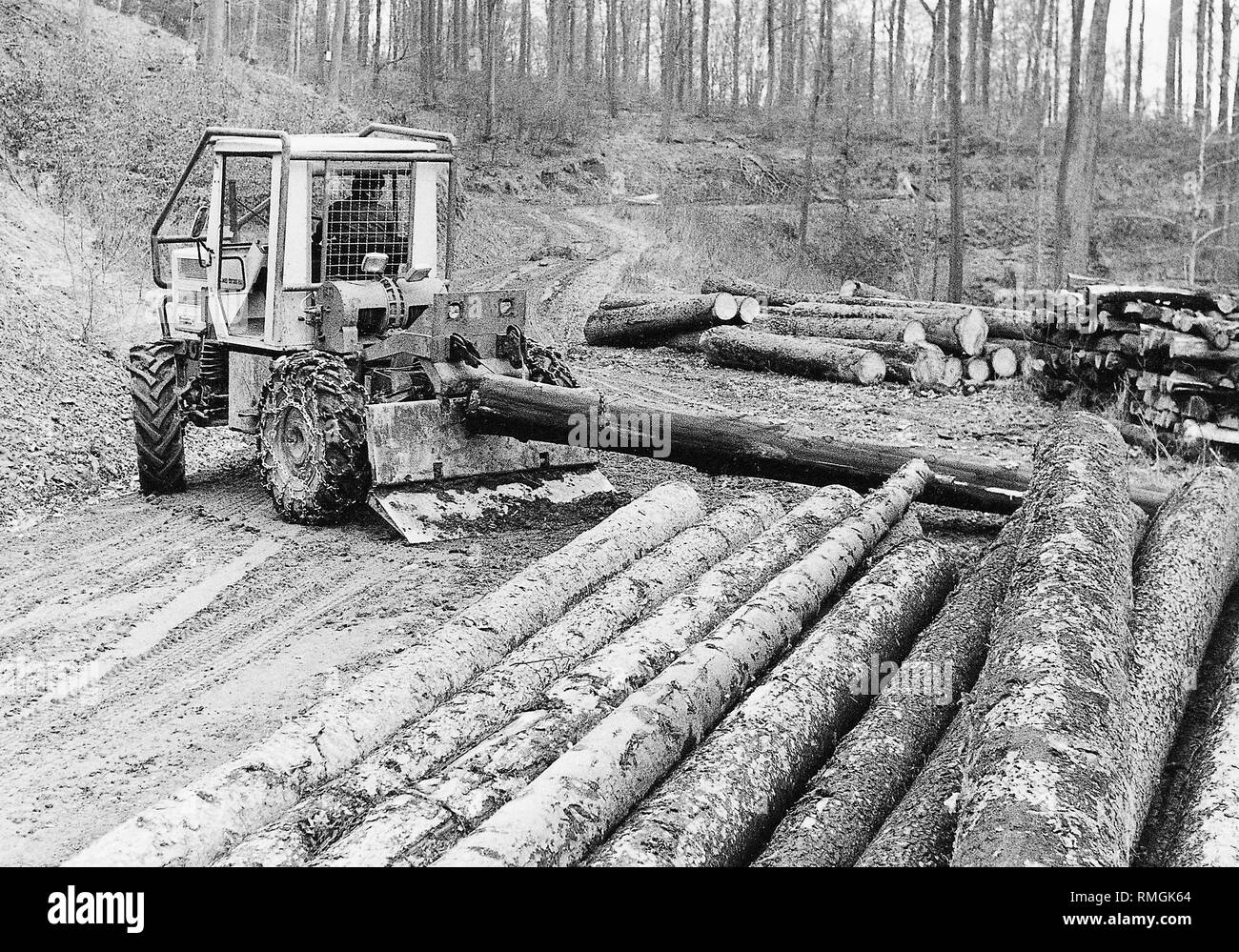 Tractor during the transport of felled tree trunks Stock Photo - Alamy