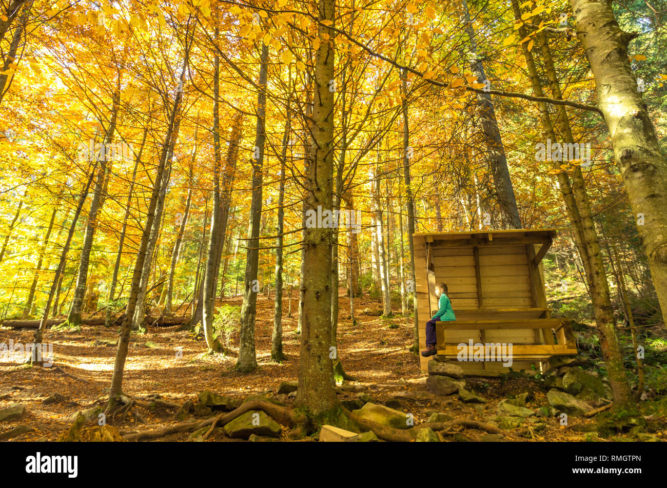 The girl in the forest. The girl is resting on the bench Stock Photo ...