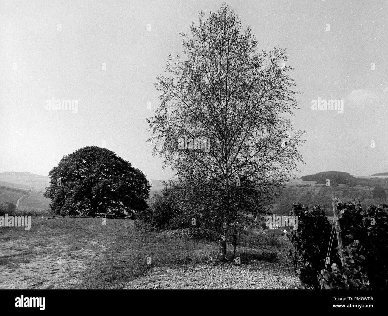 Viewpoint over the village of Sachsenflur in the Umpfertal over the ...