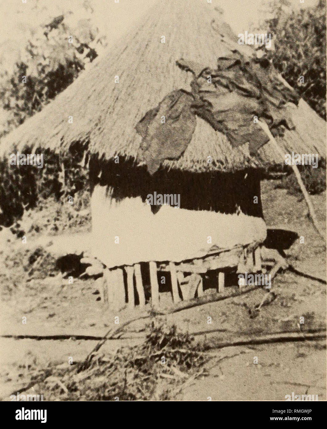 Dung pit hi-res stock photography and images - Alamy