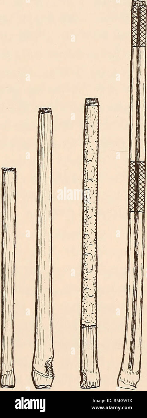 Pipes of african indigenous hi-res stock photography and images - Alamy