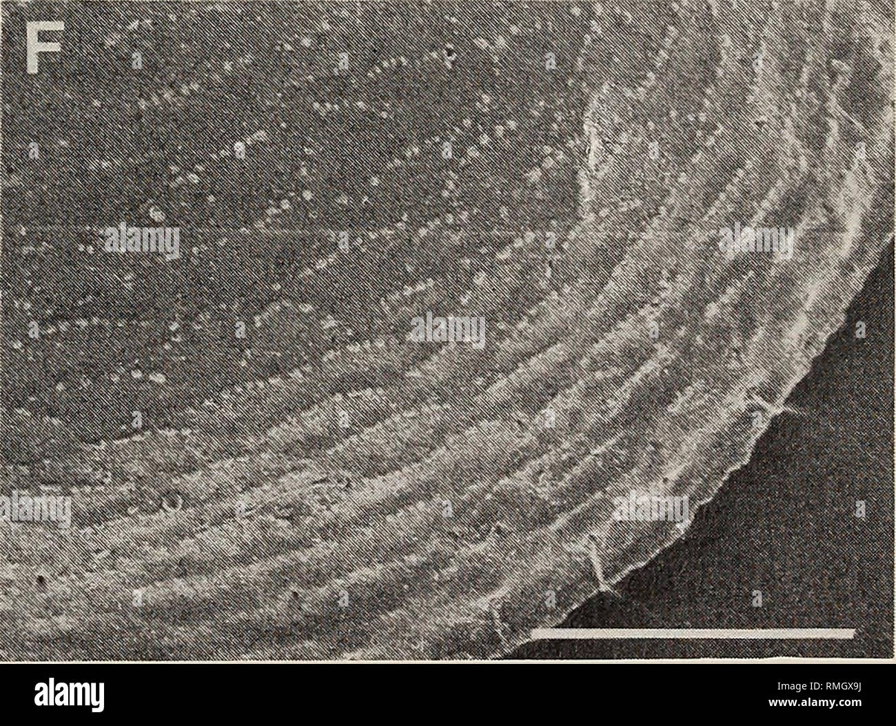 Tbd bar hi-res stock photography and images - Alamy