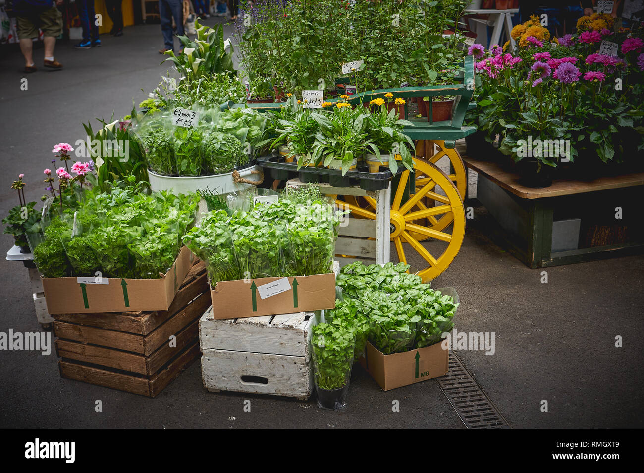 London, UK - June, 2018. Herbs and plant outside a florist stall in ...