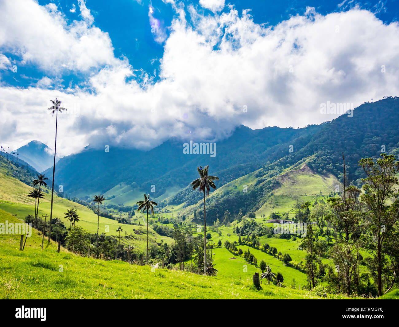 Beautiful day hiking scenery of Valle del Cocora in Salento, Colombia ...