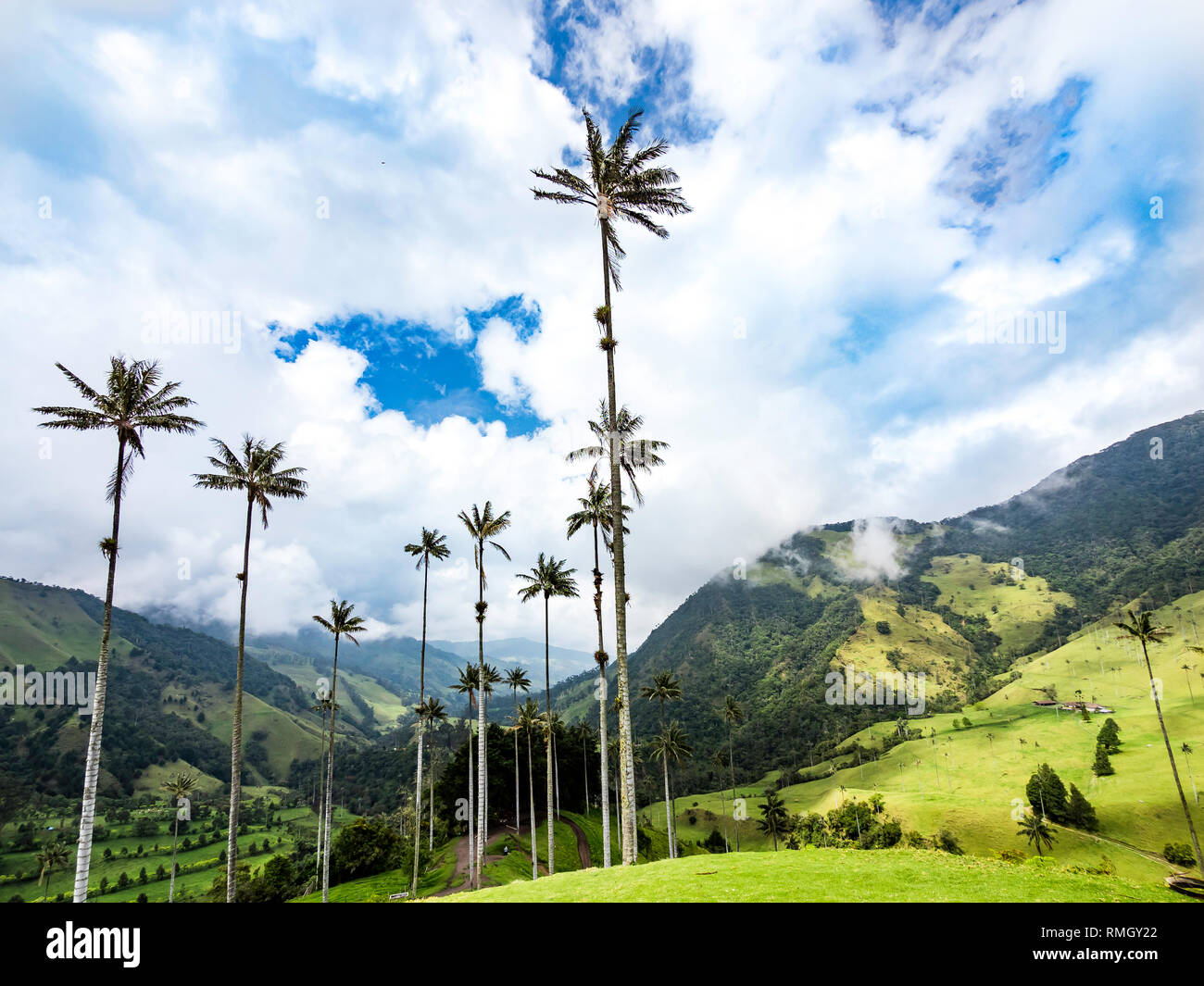Beautiful mountainous scenery of Valle del Cocora in Salento, Colombia ...