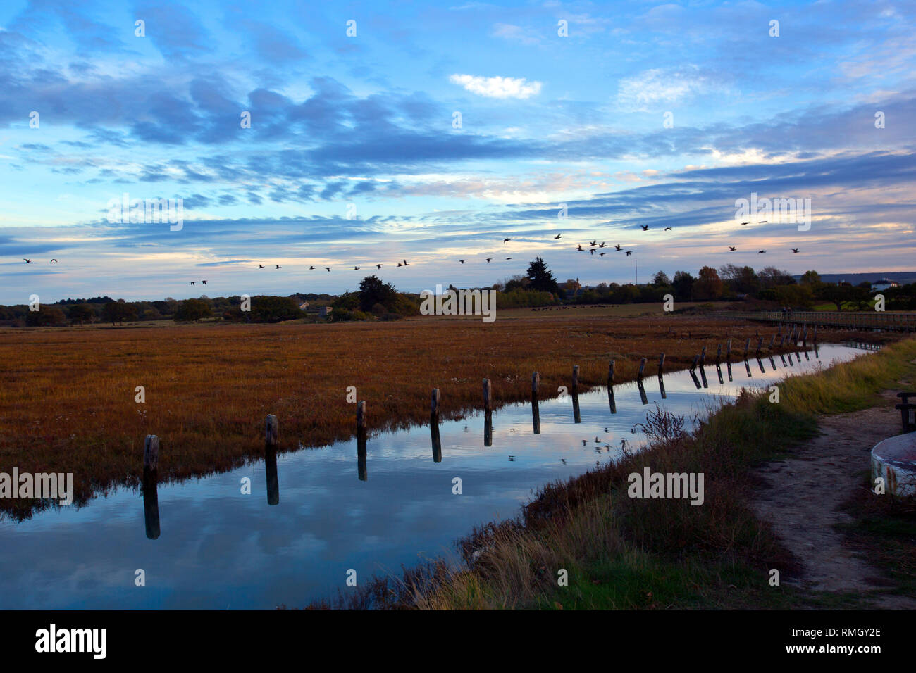 Newtown, Nature, Reserve, National, Trust, Isle mof Wight, England, UK ...