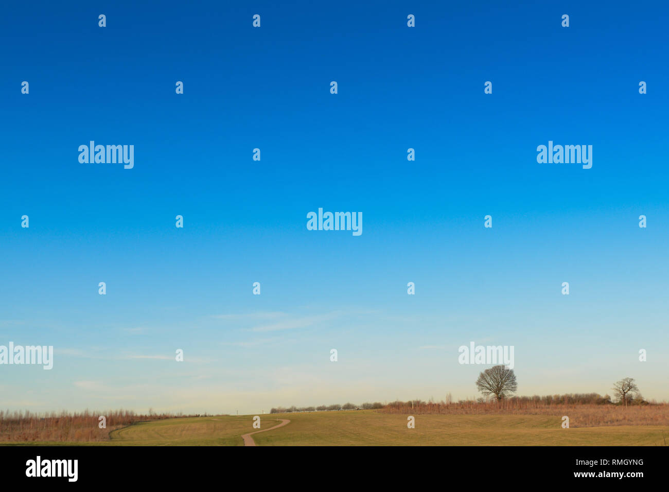 Landscape view with very low angle horizon and lots of copy space in ...