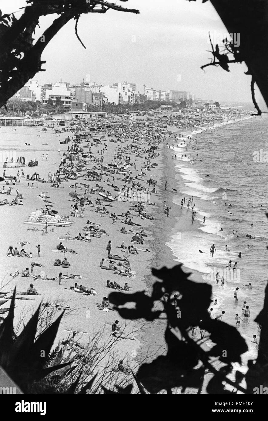 North coast city Black and White Stock Photos & Images - Alamy