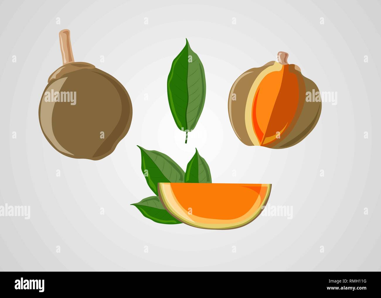 Zapote delicious fruit. Quararibea cordata. exotic Eco food. South ...