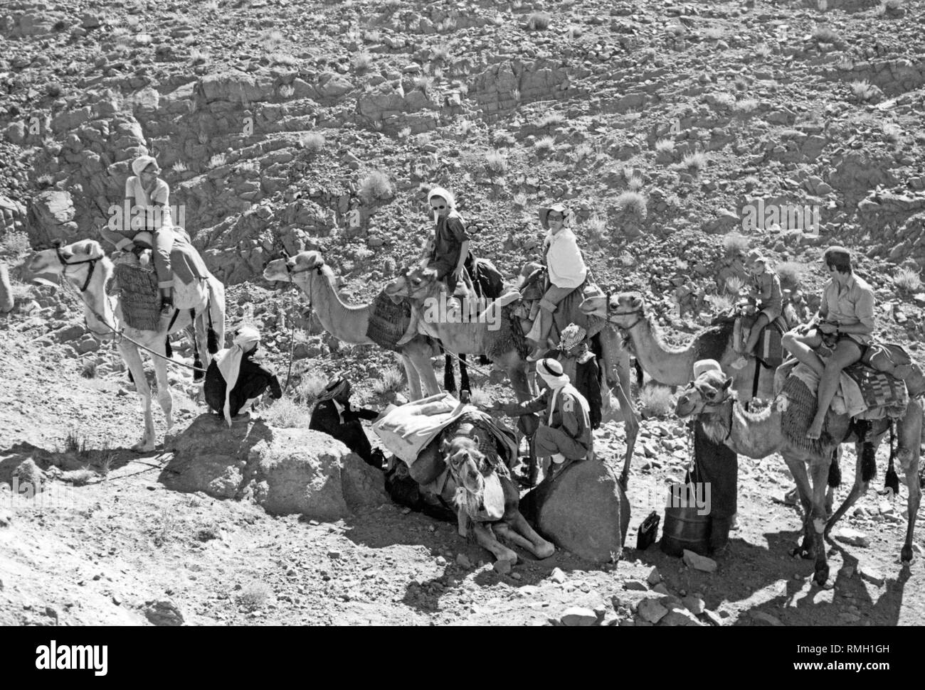 Suez Crisis 1956 High Resolution Stock Photography and Images - Alamy