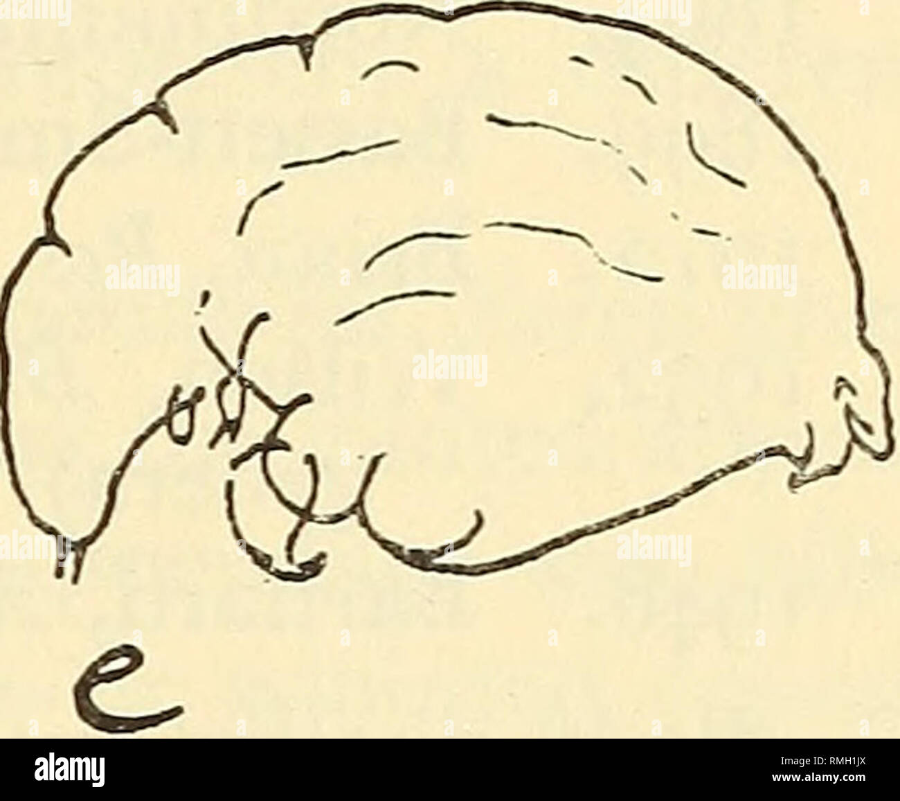 Van heller hi-res stock photography and images - Alamy