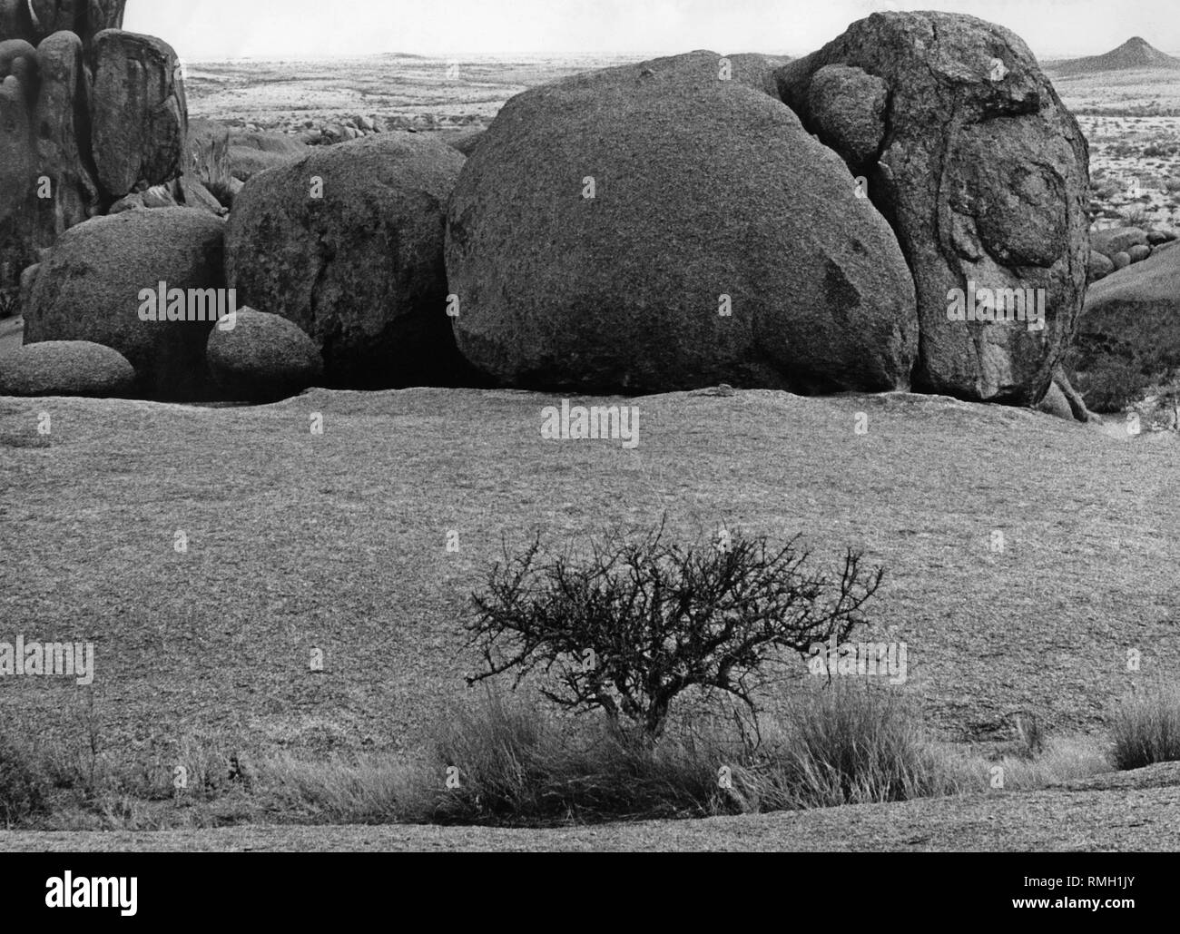 South-West Africa (today: Namibia): Picture shows rocks and a tree in ...