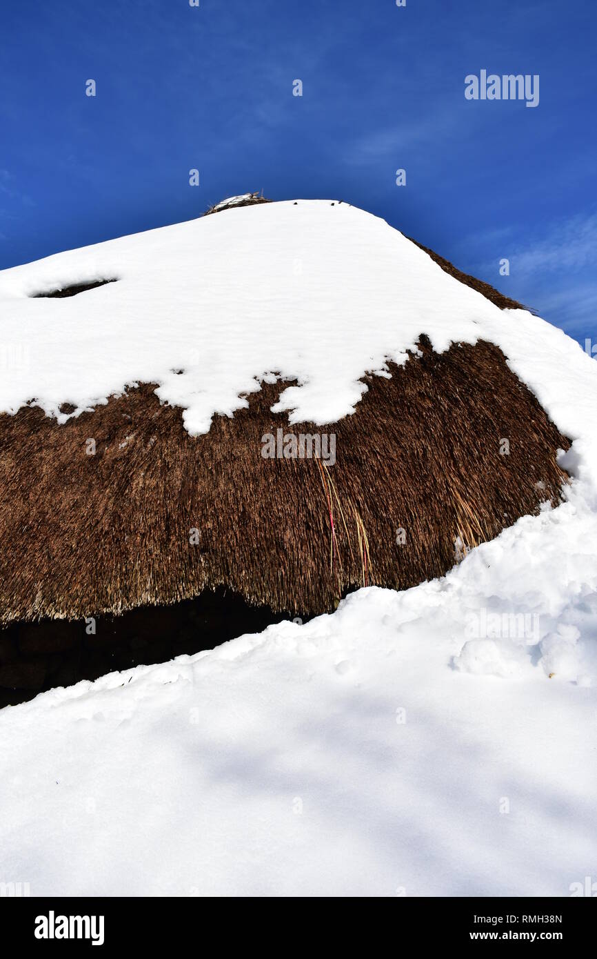 Ancient snowy palloza house made with stone and straw. Roof closeup ...