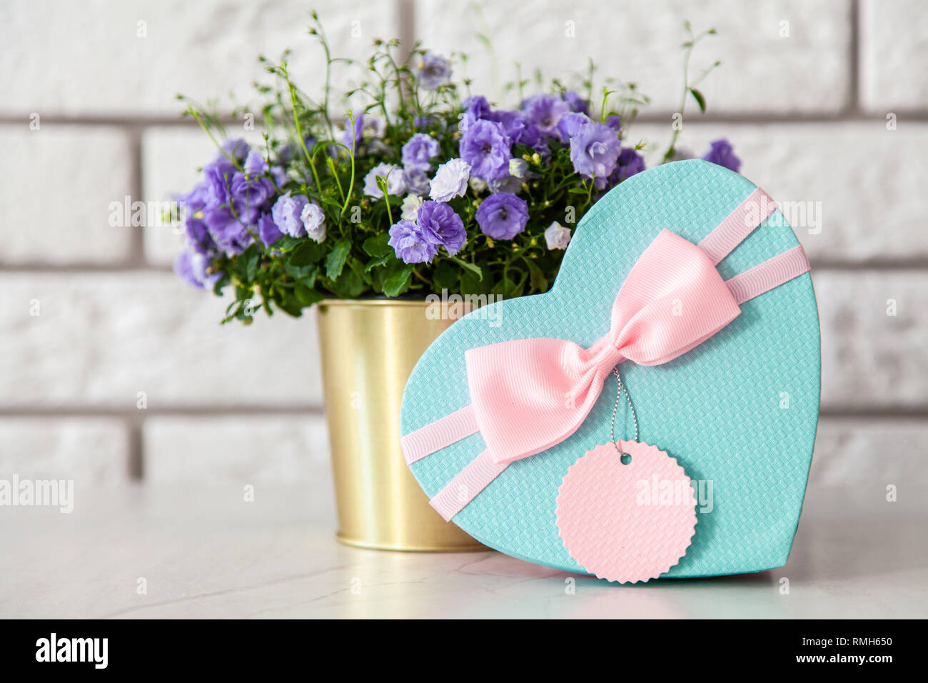 Present flowers hi-res stock photography and images - Alamy