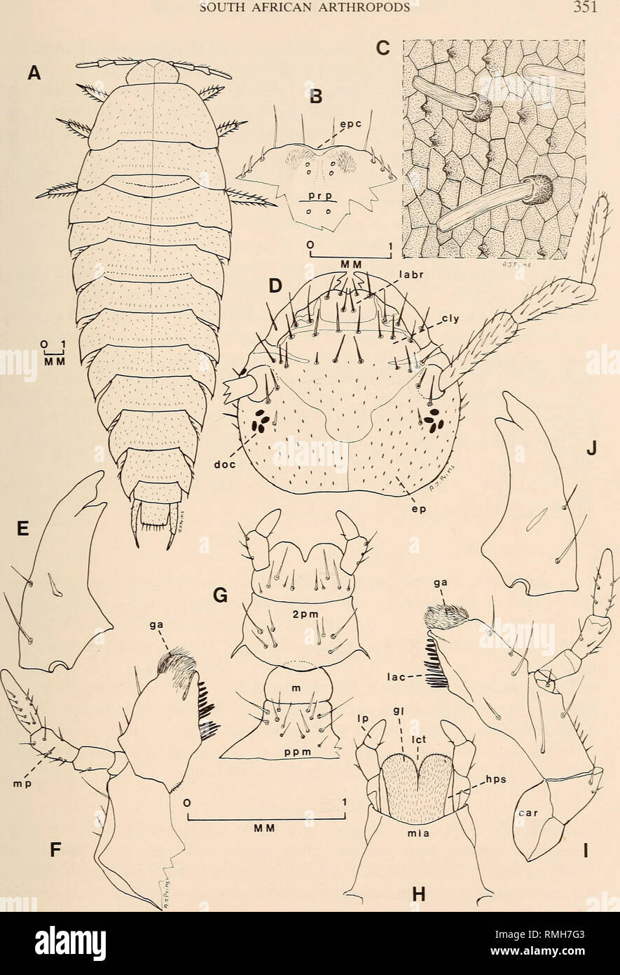 . Annals of the South African Museum = Annale van die Suid-Afrikaanse ...