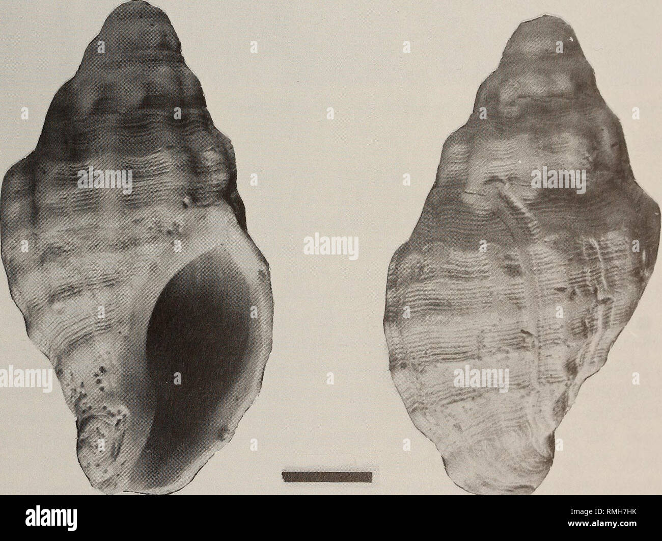 Koingnaas hi-res stock photography and images - Alamy