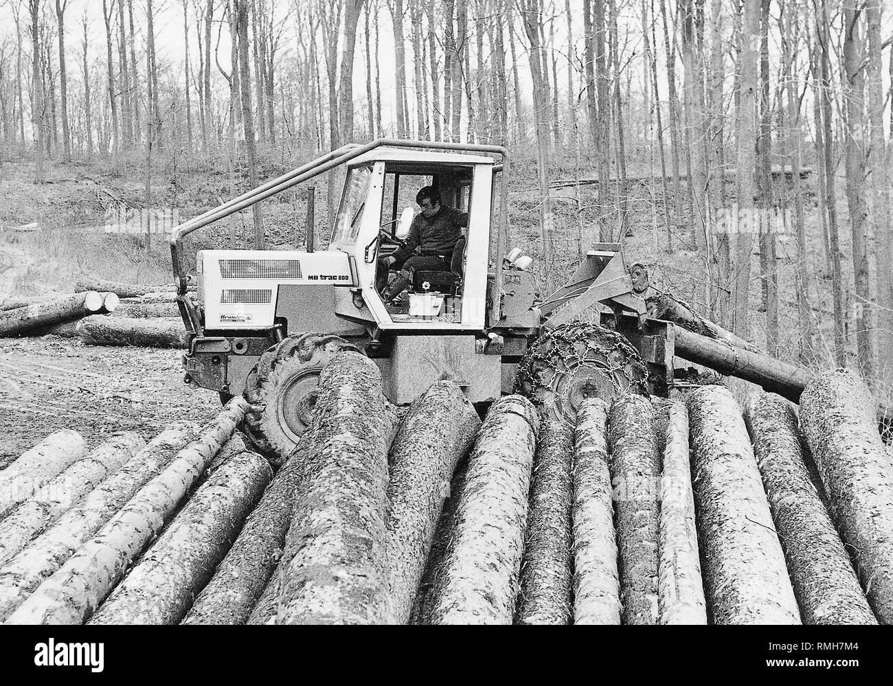 Machine during the transport of felled tree trunks Stock Photo - Alamy