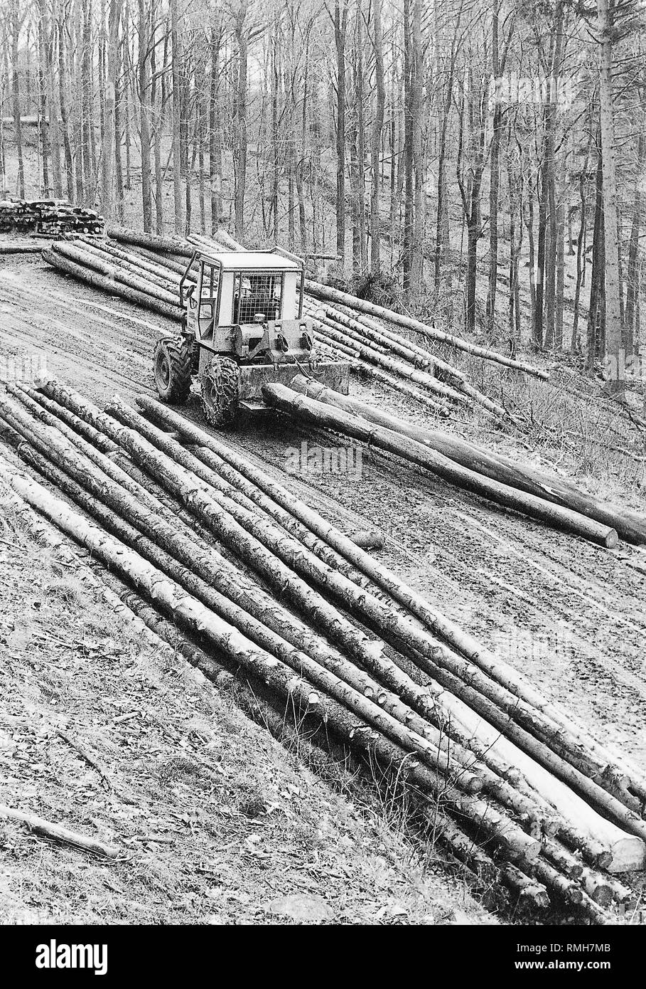 Timber machine Black and White Stock Photos & Images - Alamy