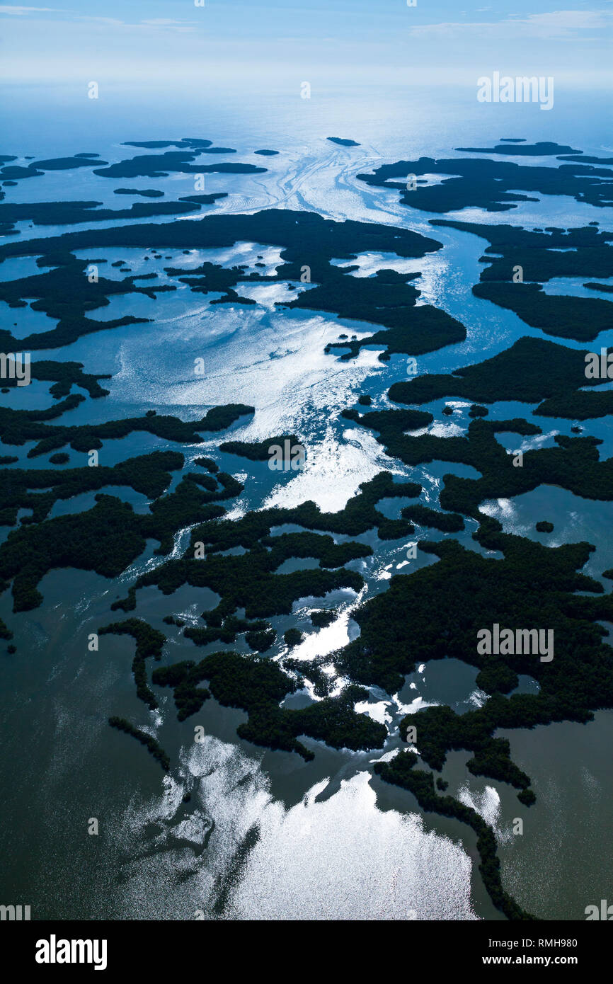 Aerial view, Everglades Natuional Park, FLORIDA, USA, AMERICA Stock ...