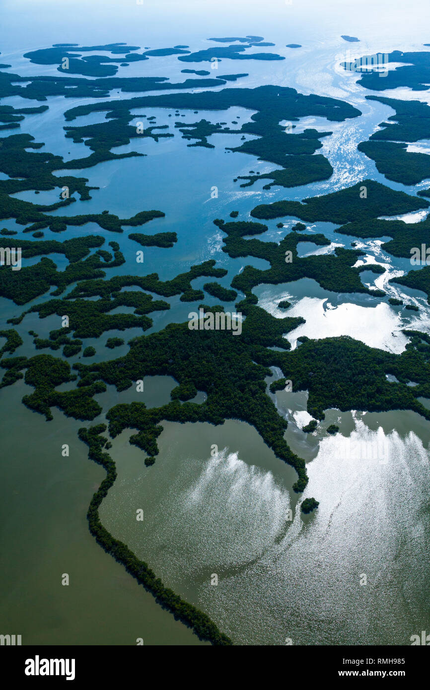 Aerial view, Everglades Natuional Park, FLORIDA, USA, AMERICA Stock ...