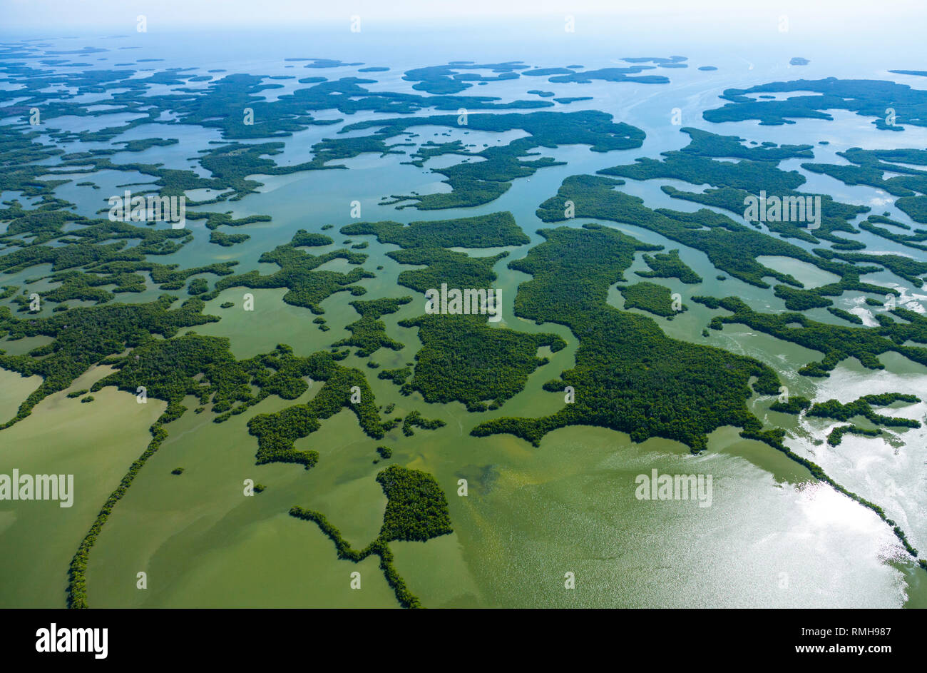 Aerial view, Everglades Natuional Park, FLORIDA, USA, AMERICA Stock ...