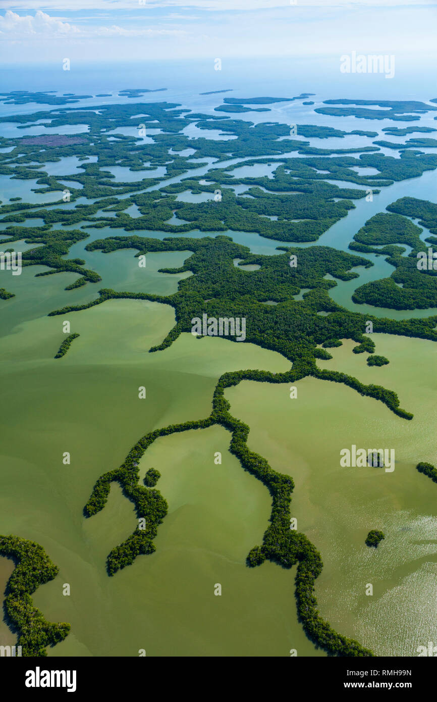 Aerial view, Everglades Natuional Park, FLORIDA, USA, AMERICA Stock ...