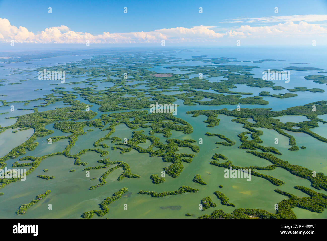 Aerial view, Everglades Natuional Park, FLORIDA, USA, AMERICA Stock ...