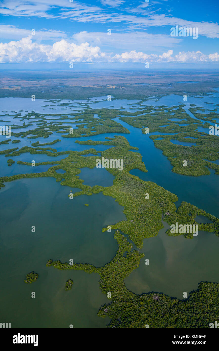 Aerial view, Everglades Natuional Park, FLORIDA, USA, AMERICA Stock ...