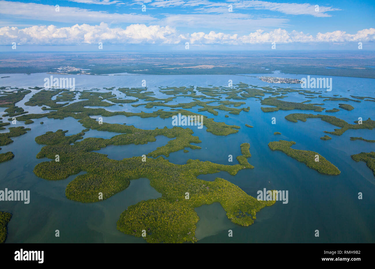 Aerial view, Everglades Natuional Park, FLORIDA, USA, AMERICA Stock ...