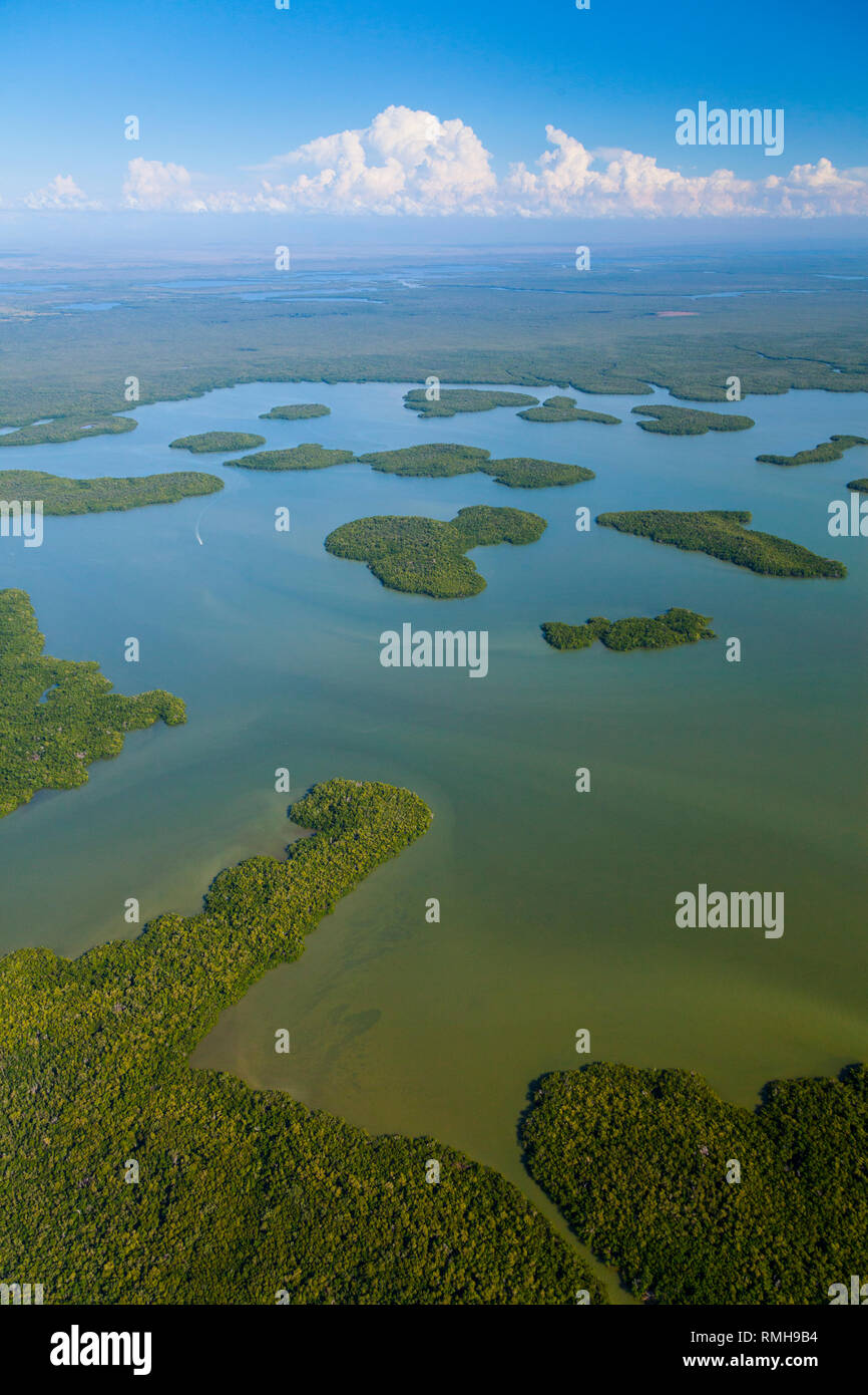 Aerial view, Everglades Natuional Park, FLORIDA, USA, AMERICA Stock ...