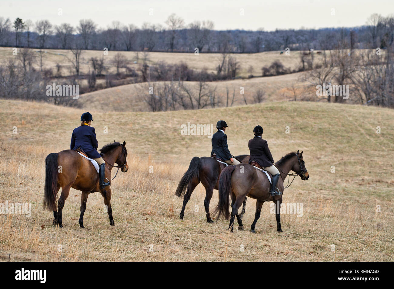 UNITED STATES - 02-14-2019: The oldest fox hunting club in the United ...