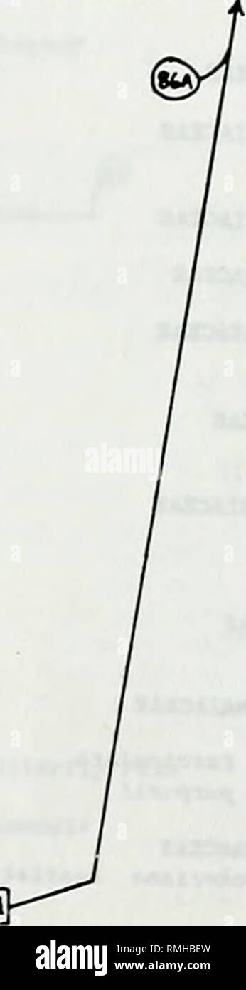 Cites appendices hi-res stock photography and images - Alamy