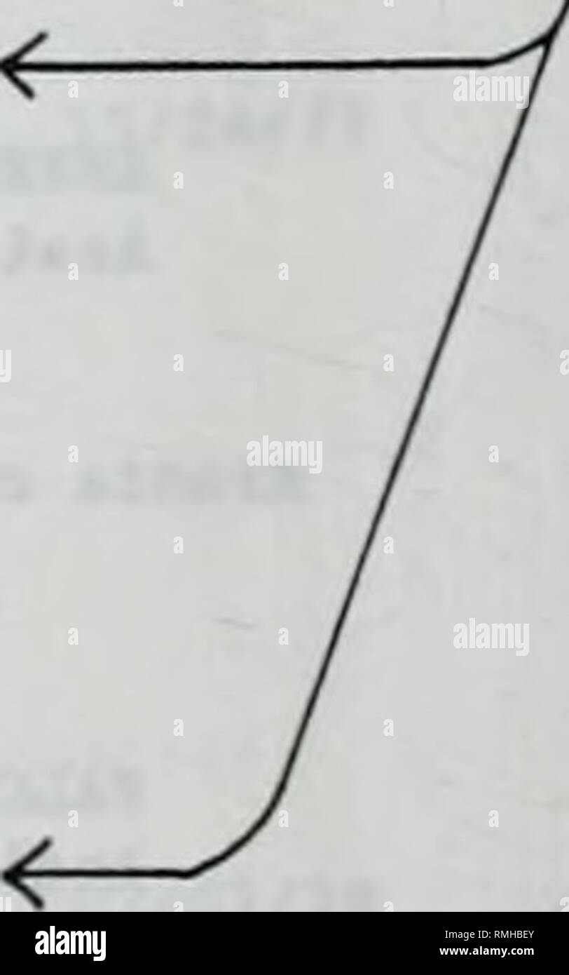 Cites appendices hi-res stock photography and images - Alamy