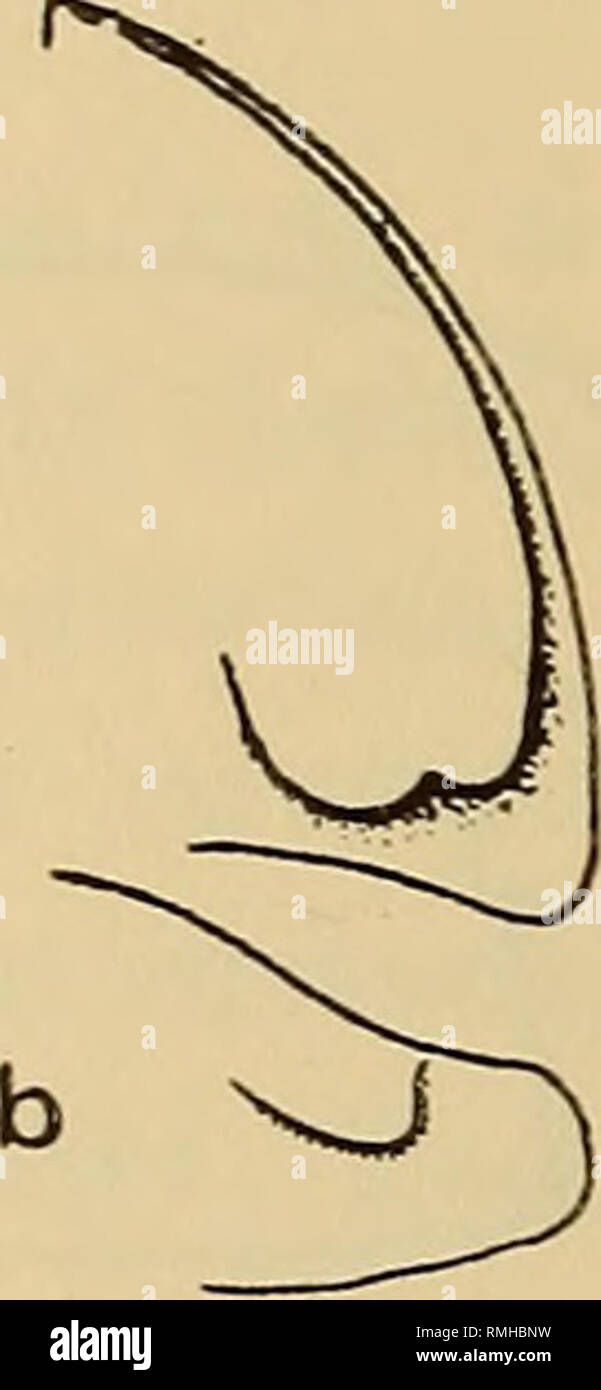 . Annals of the South African Museum = Annale van die Suid-Afrikaanse ...