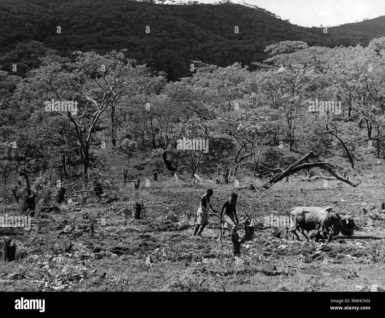 1970s farmers hi-res stock photography and images - Alamy