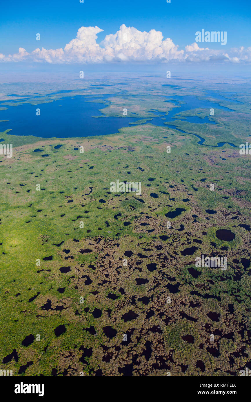 Aerial view, Everglades Natuional Park, FLORIDA, USA, AMERICA Stock ...